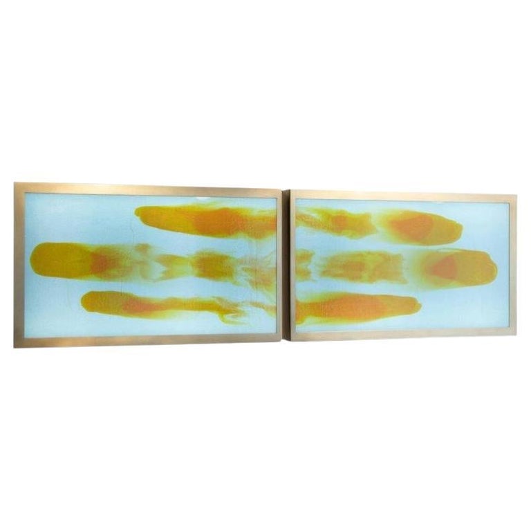 Videre Licet, "Meltform No. 12", Light Sculpture, 2019 For Sale at 1stDibs