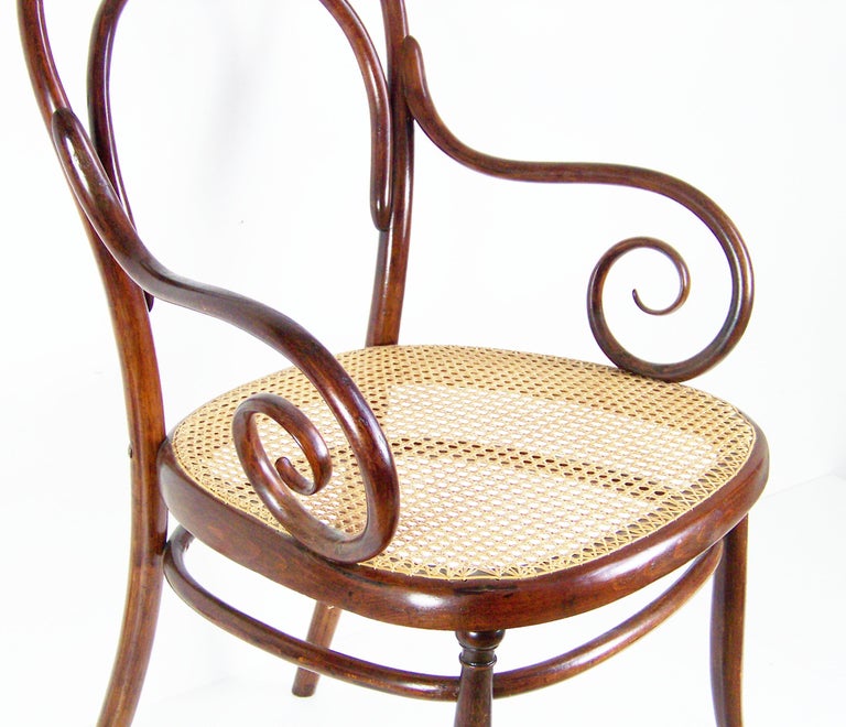 Viennese Armchair, Model Nr.8, circa 1870 at 1stDibs