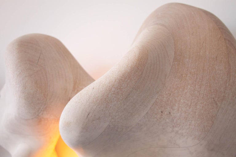 Vincent Pocsik, "Ghost Dreams", Light Sculptures, 2021 For Sale at 1stDibs