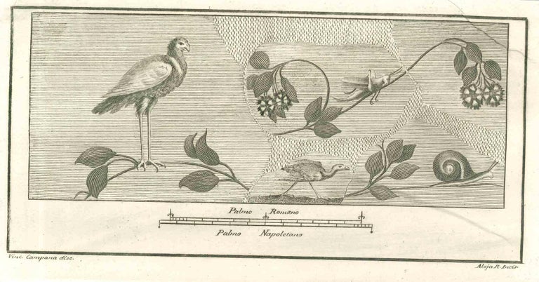 Vincenzo Campana - Birds Pompeian Fresco - Etching by Vincenzo Campana ...