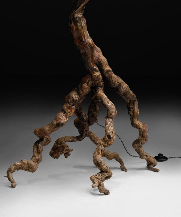 Vine Wood Floor Lamp, France circa 1960 For Sale at 1stDibs