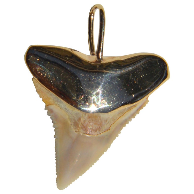 Vintage 14 Karat Gold Shark Tooth Charm Pendant at 1stDibs | gold shark ...