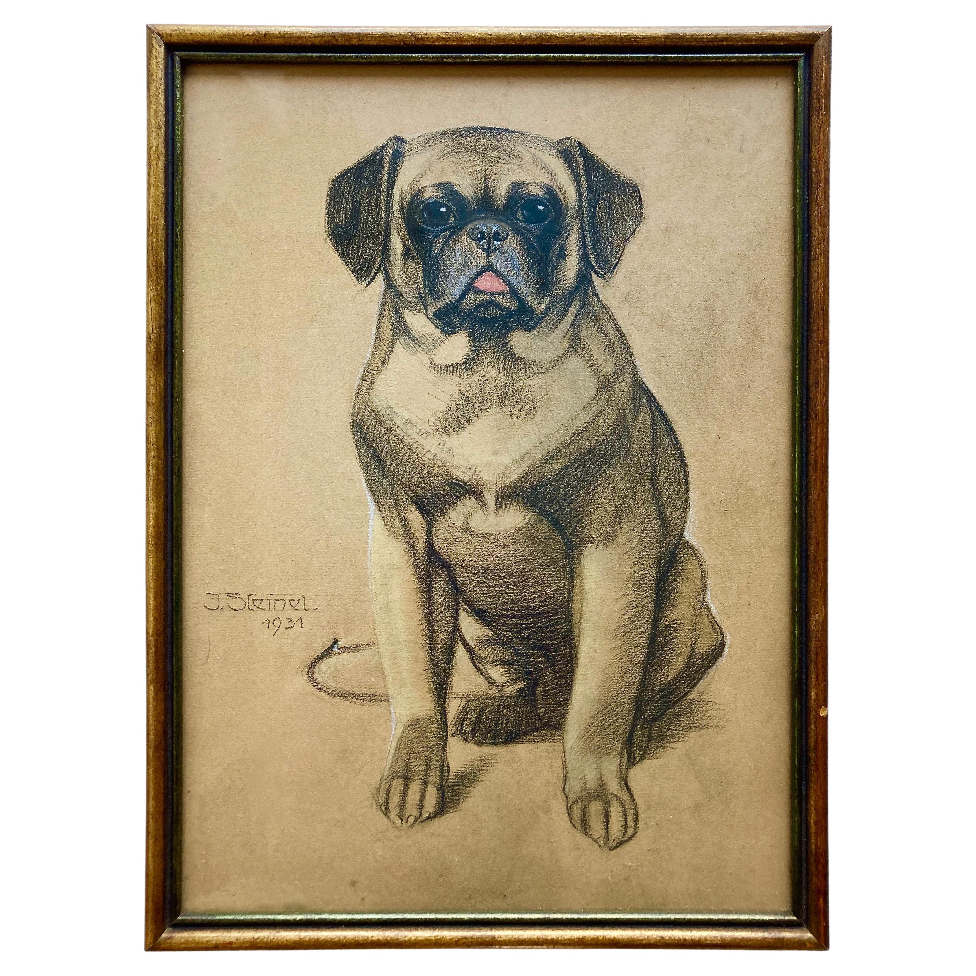 Vintage 1930s Original German Charcoal Drawing of Pug Dog by J. Steinel ...