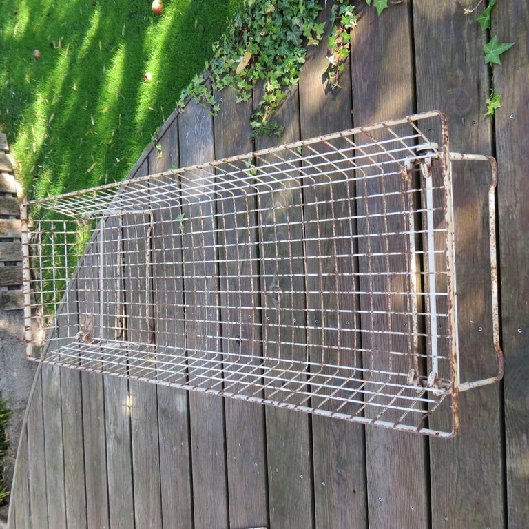 Vintage 1950s Good Quality Large Wire Storage Basket Planter For Sale ...