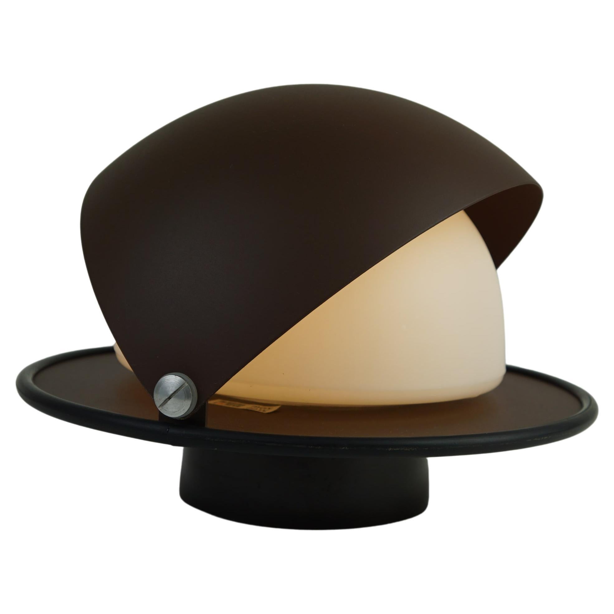 Vintage 1970s Dijkstra Design Wall Lamp in Brown For Sale at 1stDibs