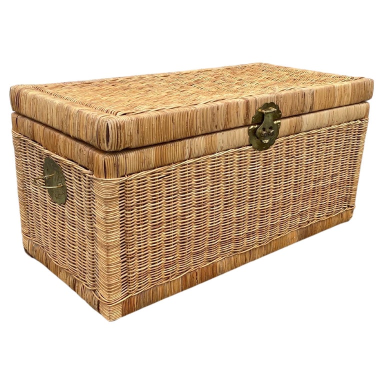 Vintage 1970s Rattan and Brass Chinoiserie Trunk For Sale at 1stDibs