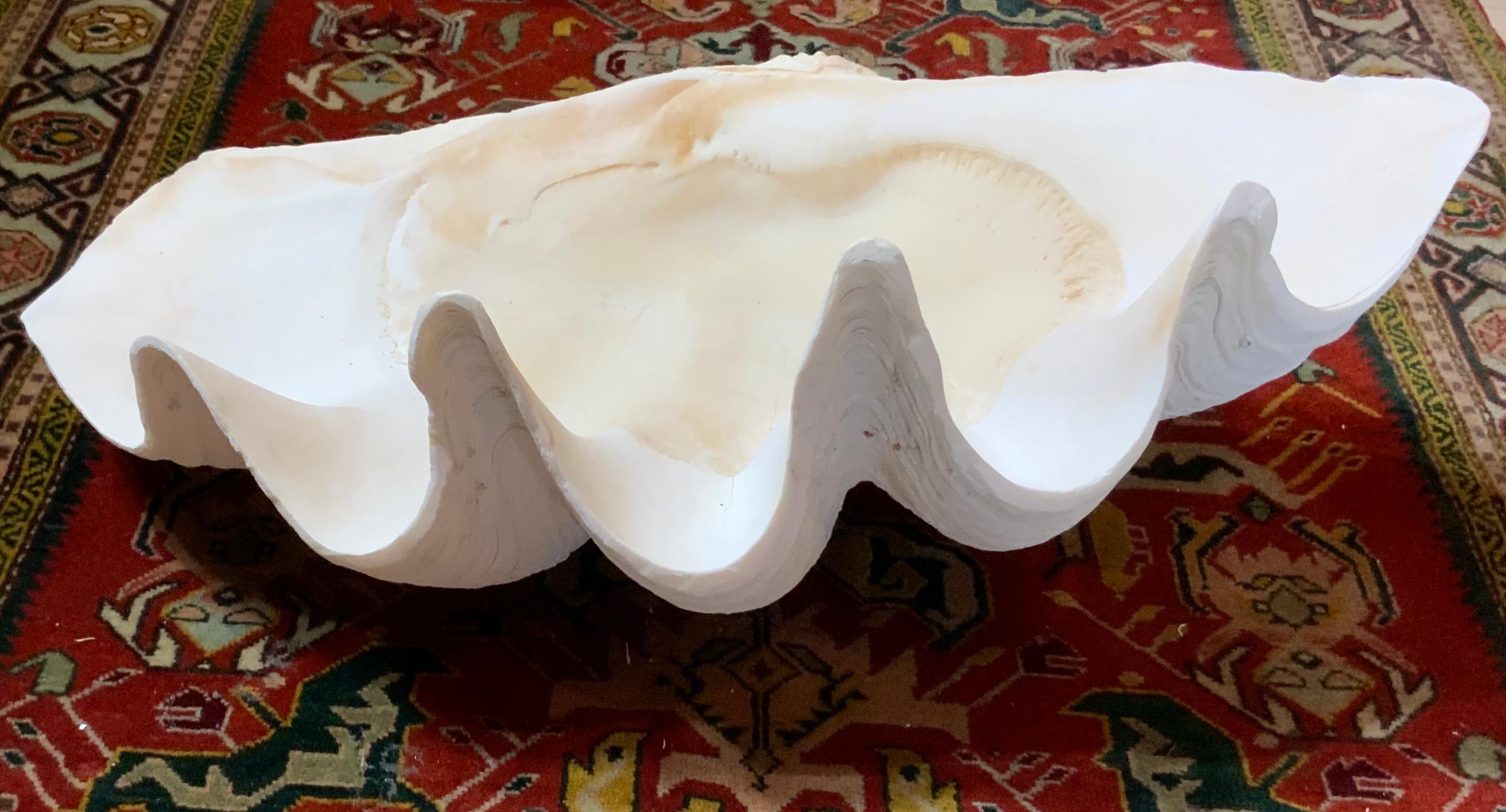 Vintage Clam Shell at 1stDibs