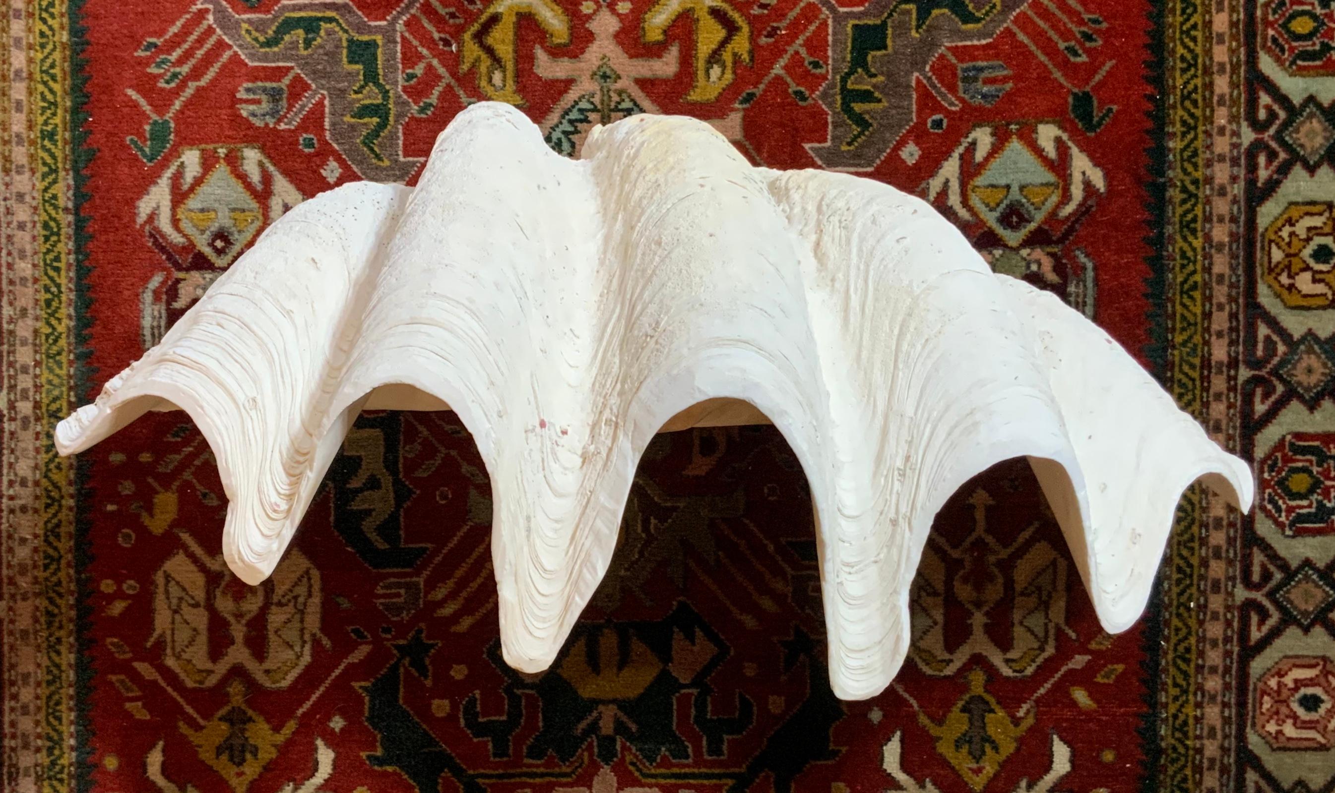 Vintage Clam Shell at 1stDibs