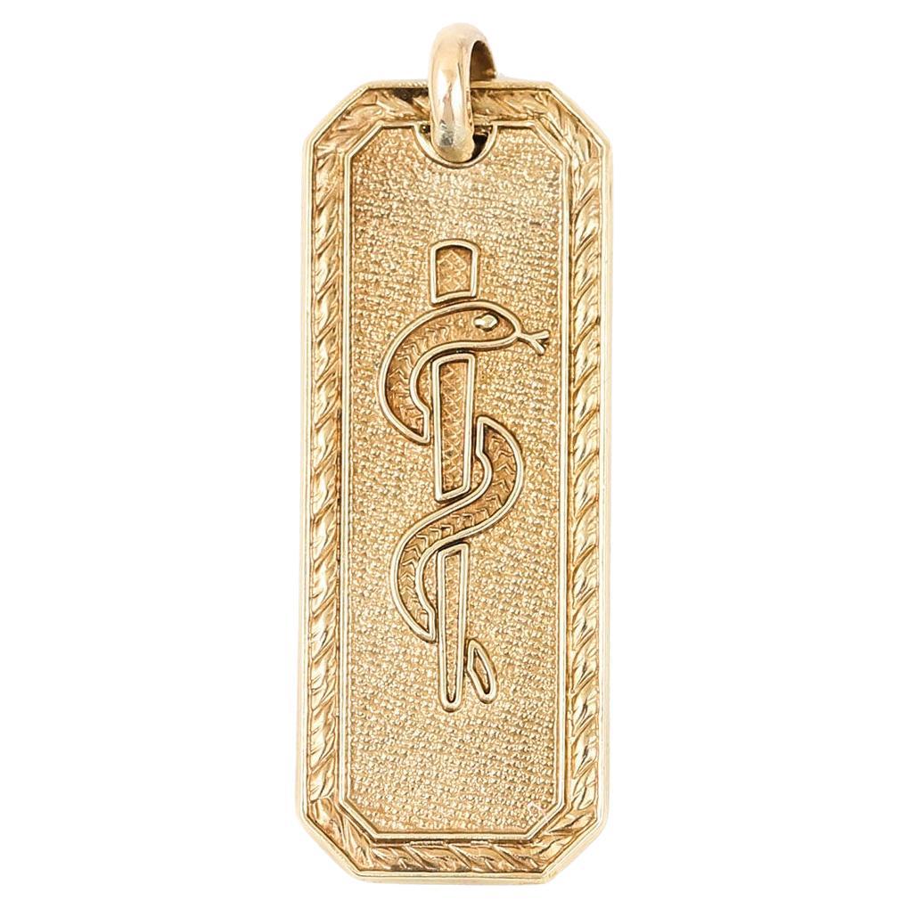 Vintage 9 Carat Yellow Gold Serpentine Medi-Tag Pendant, circa 1977 For ...