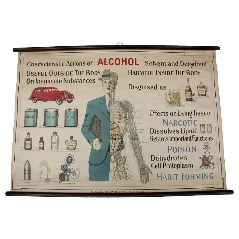 Vintage Alcohol Educational Poster by Denoyer Geppert at 1stDibs