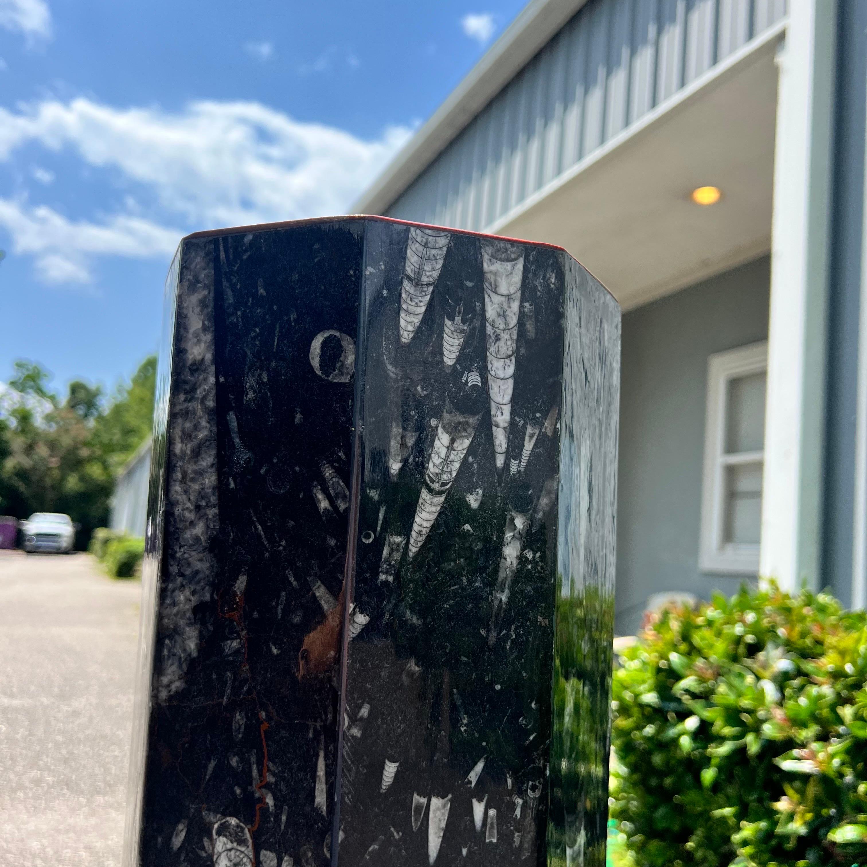 Vintage Ammonite and Orthoceras Fossil Marble Pedestal For Sale at 1stDibs