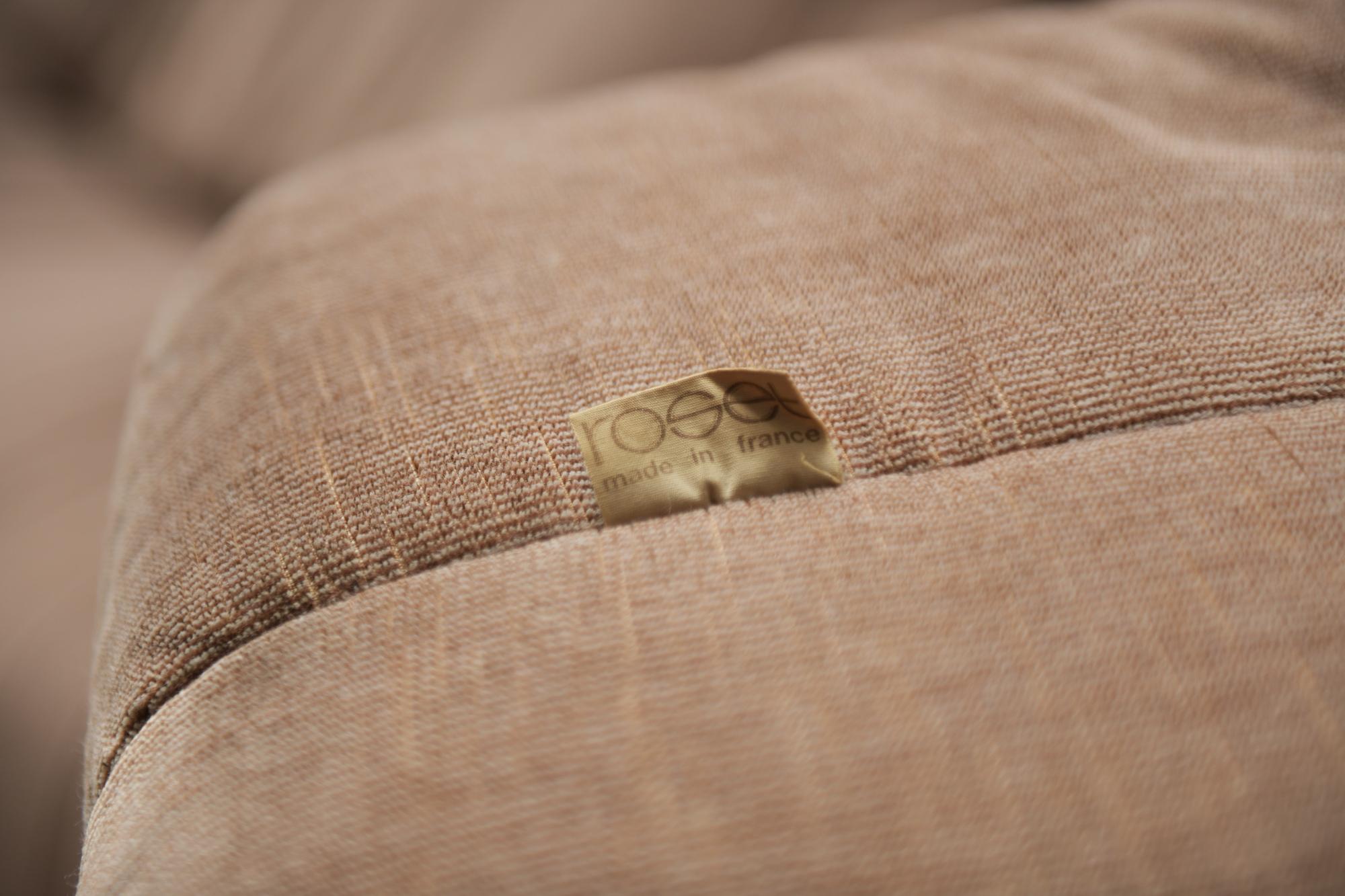Vintage Aralia Sofa + Poof by Michel Ducaroy for Ligne Roset France For ...