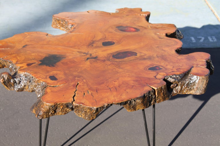 Vintage Big Sur Cypress Burl Slab Table at 1stDibs | cypress slab table ...
