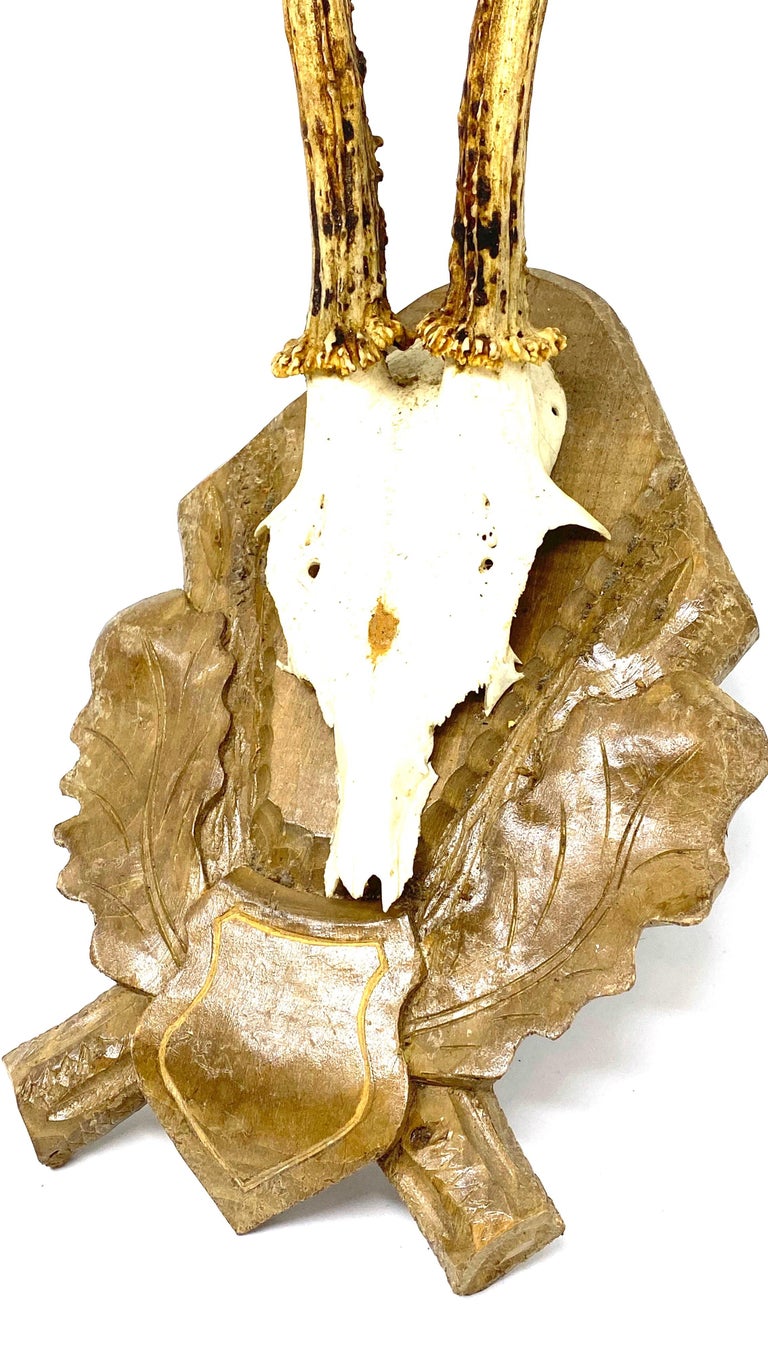 Vintage Black Forest Deer Antler Trophy on Wood Carved Plaque, German ...