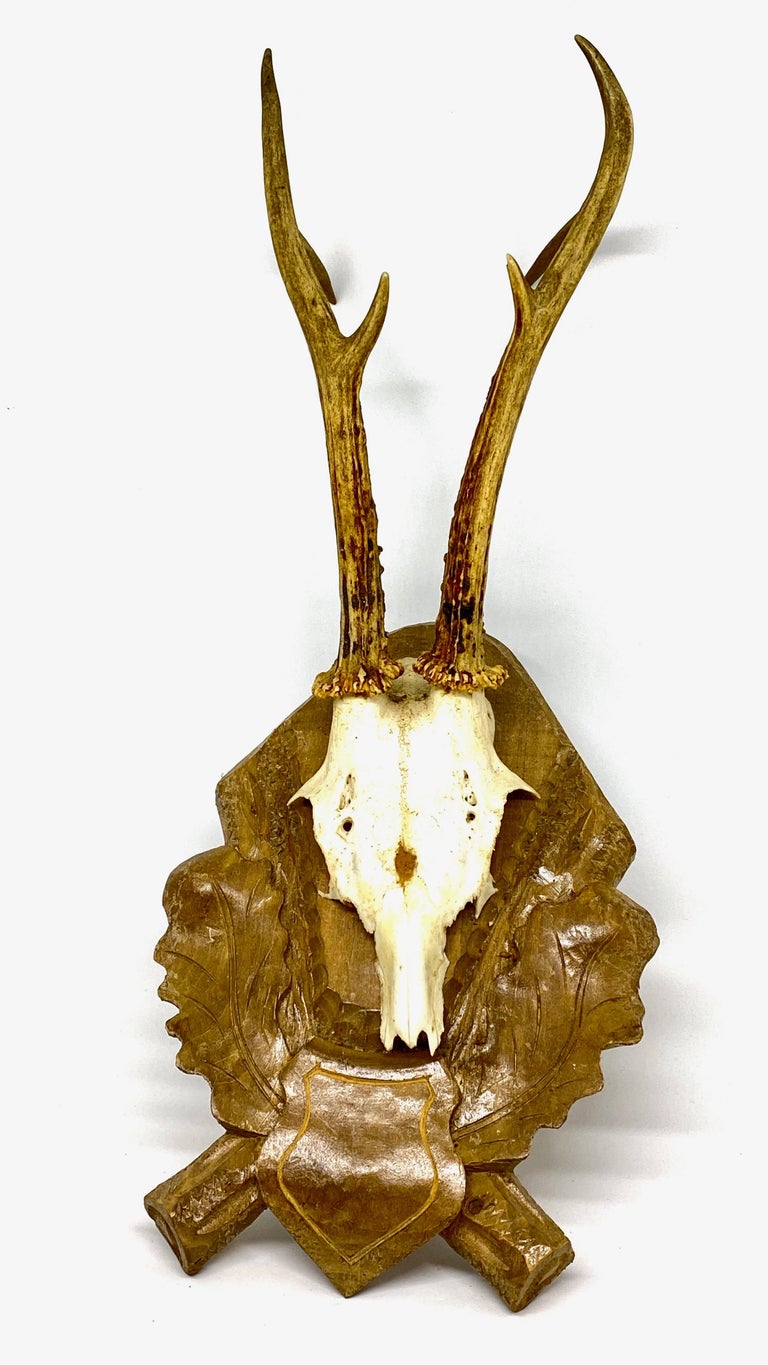 Vintage Black Forest Deer Antler Trophy on Wood Carved Plaque, German ...