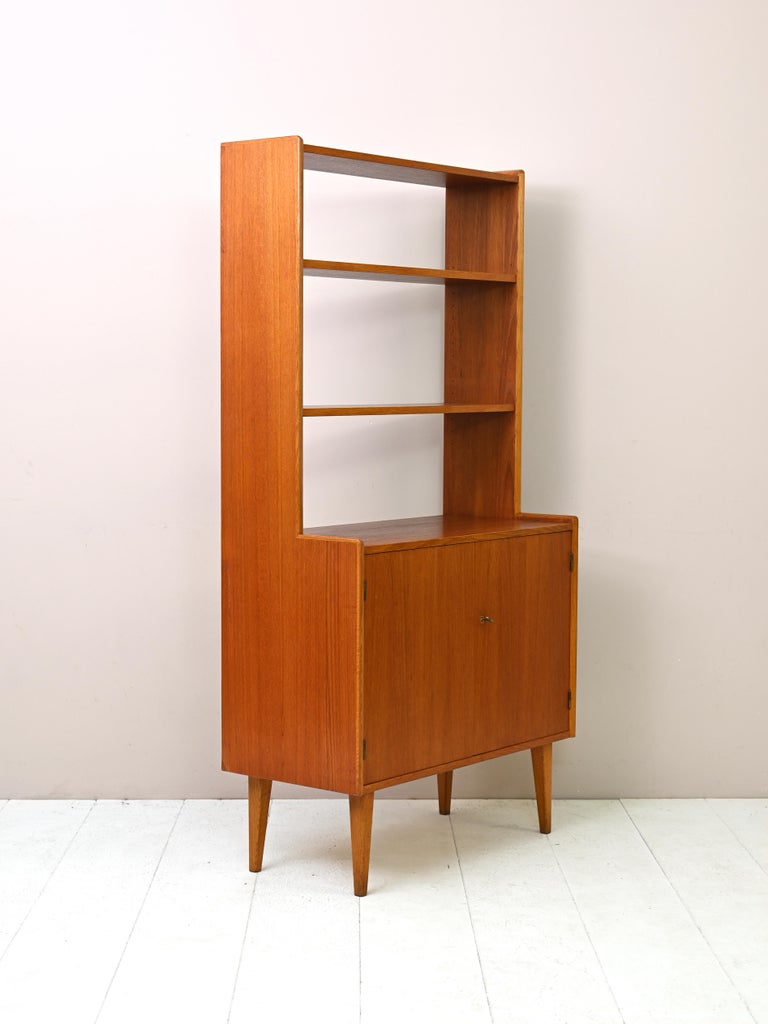 Vintage Bookcase with Hinged Doors For Sale at 1stDibs
