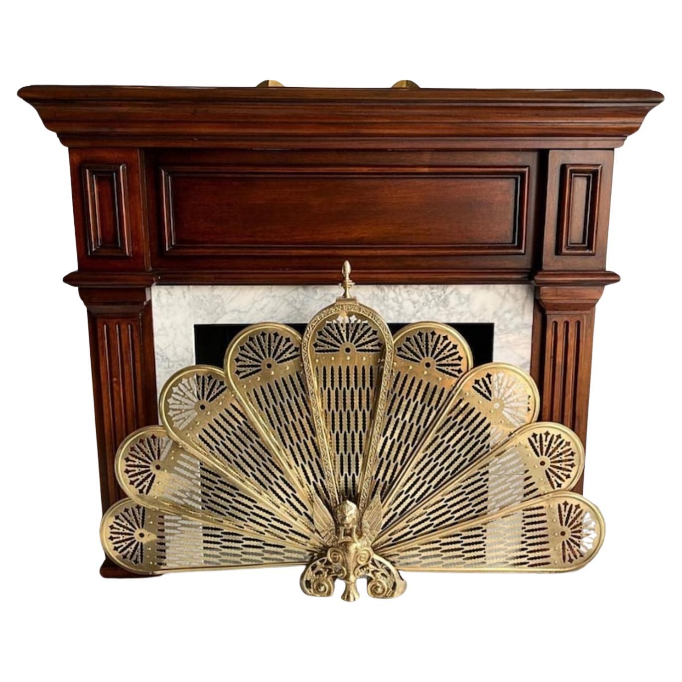 Vintage Gargoyle Griffin Brass Peacock Fireplace Folding Fan Screen at ...