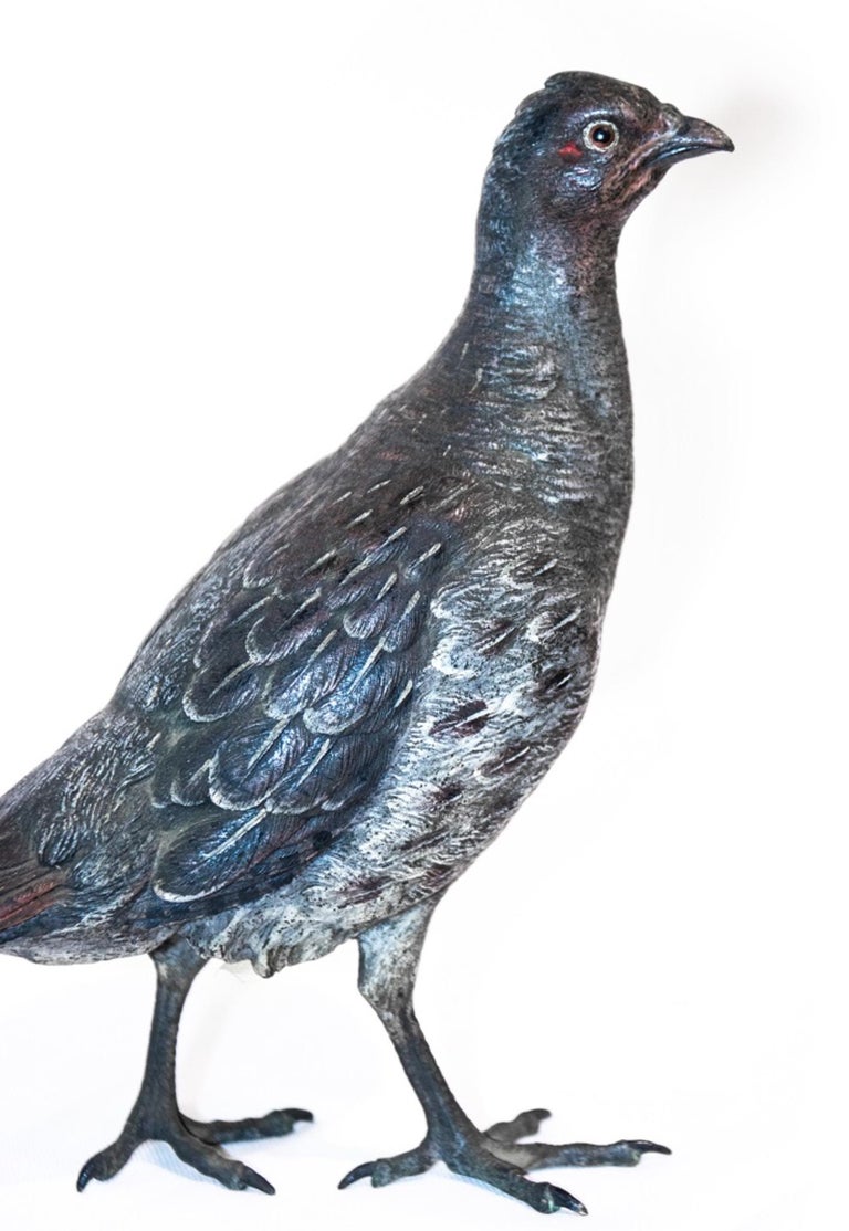 Vintage Bronze Pigeon Sculpture, France, 1950s For Sale at 1stDibs