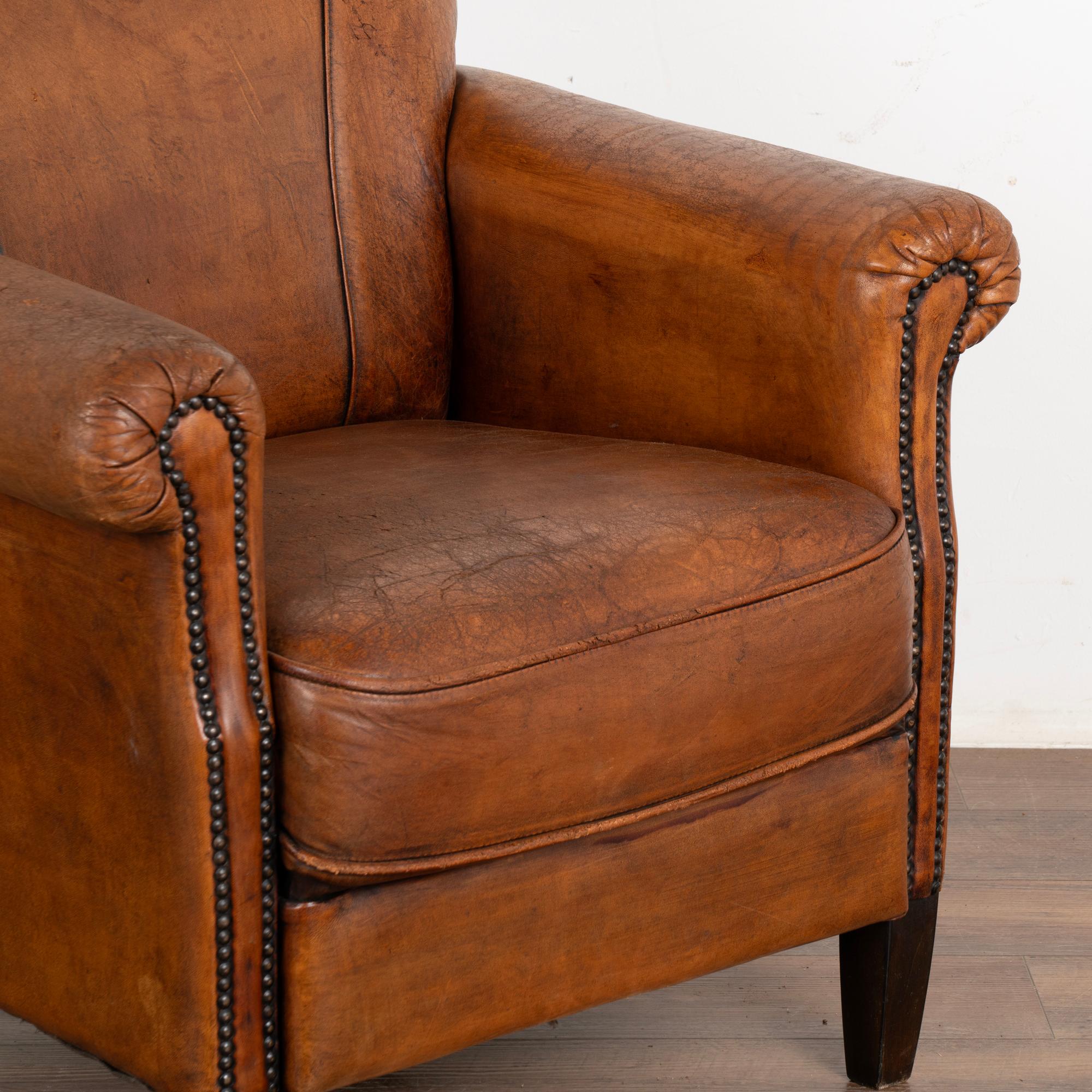 Vintage Brown Leather Tub Club Chair from France, circa 1960 For Sale ...