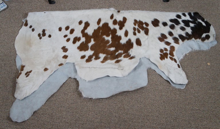 Vintage Brown and White Spotted Cow Hide Taxidermy Rug Fur Carpet For ...