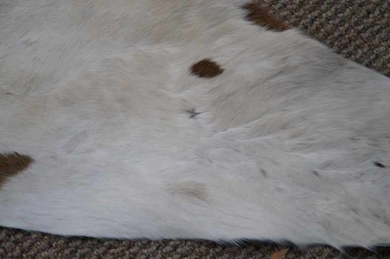Vintage Brown and White Spotted Cow Hide Taxidermy Rug Fur Carpet For ...
