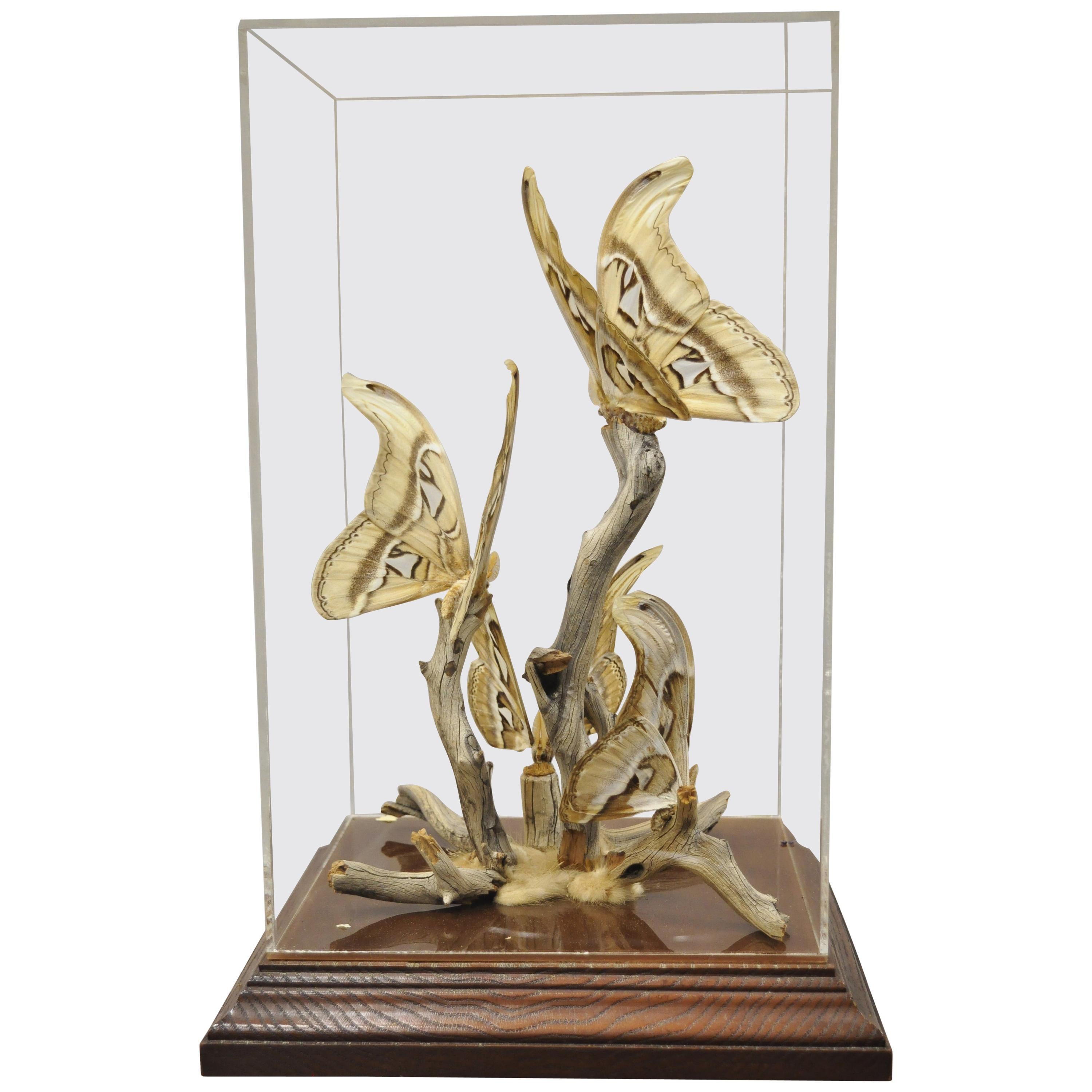 Victorian Terrarium - 5 For Sale on 1stDibs | antique terrarium for ...