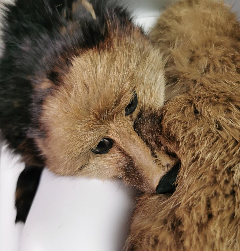 Vintage c1940s marten fur stole, Tippet For Sale at 1stDibs
