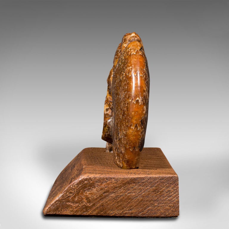 Vintage Carved Decorative Ammonite, African, Fossil, Display ...