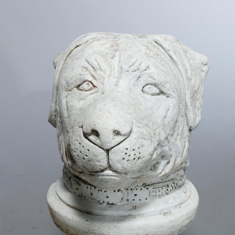 Vintage Cast Stone Figural Dog Bust Sculptures on Plinths, 20th Century ...