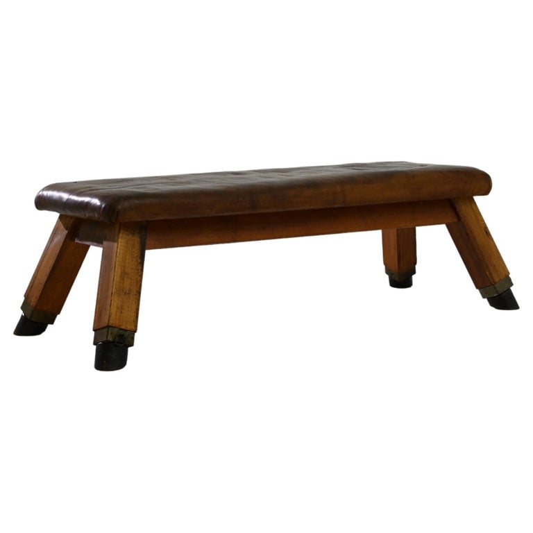 Vintage Central European Leather Pommel Horse For Sale at 1stDibs