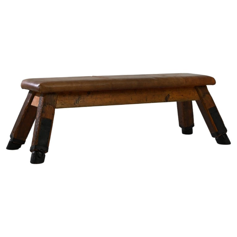 Vintage Central European Leather Pommel Horse For Sale at 1stDibs