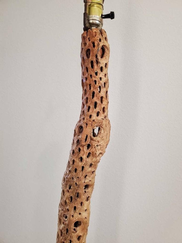Vintage Cholla Cactus Skeleton Floor Lamp For Sale at 1stDibs