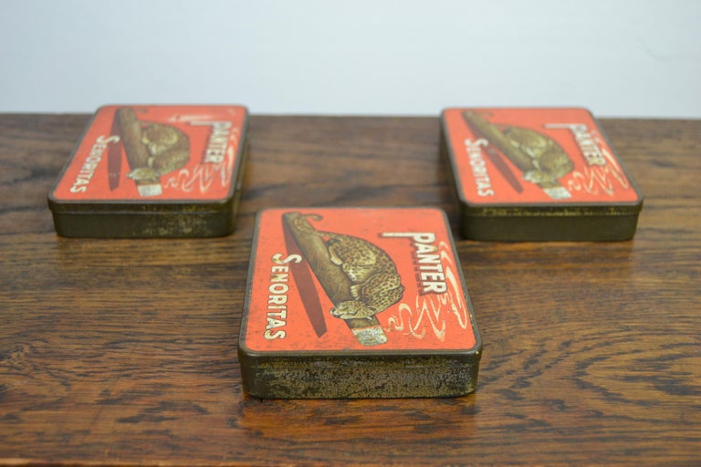 Vintage Cigar Tins with Panter on Cigar, 1960s, Netherlands at 1stDibs
