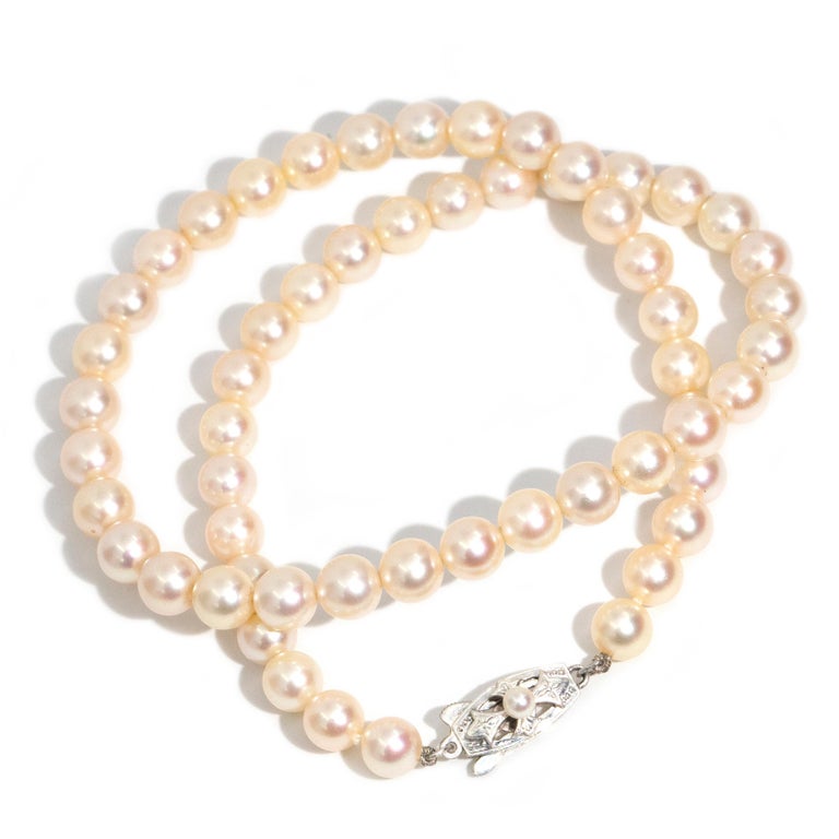 Vintage circa 1970s Mikimoto Cultured off White Akoya Pearl Strand Necklace at 1stDibs
