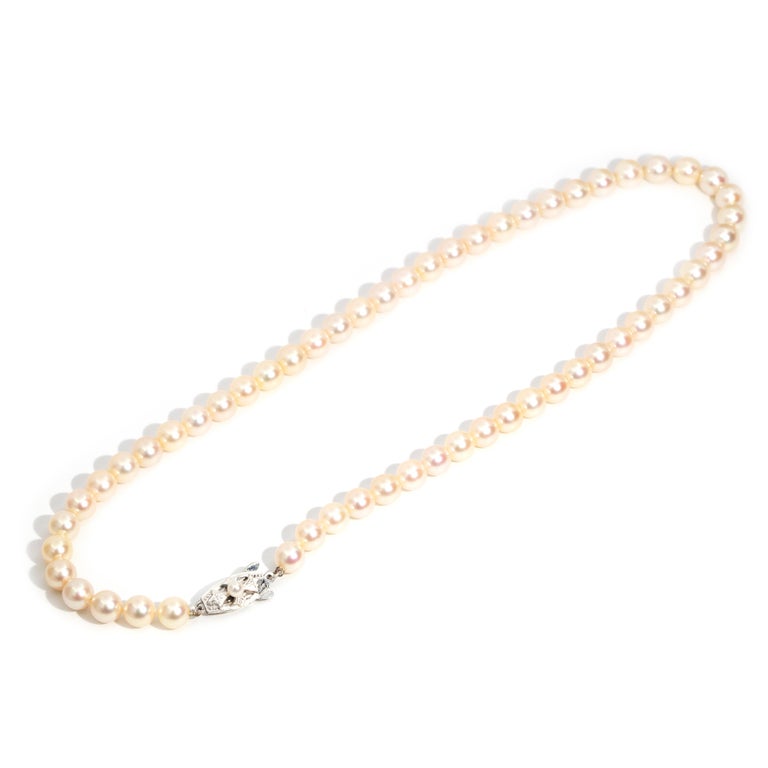 Vintage circa 1970s Mikimoto Cultured off White Akoya Pearl Strand Necklace at 1stDibs