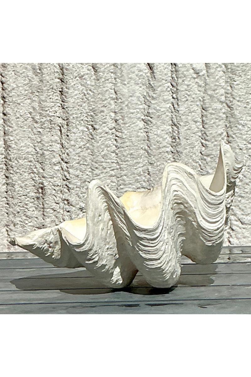 Vintage Coastal Monumental Tridacna Gigas Clam Shell #10 For Sale at ...