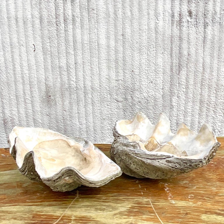 Giant Clam Shell Prop