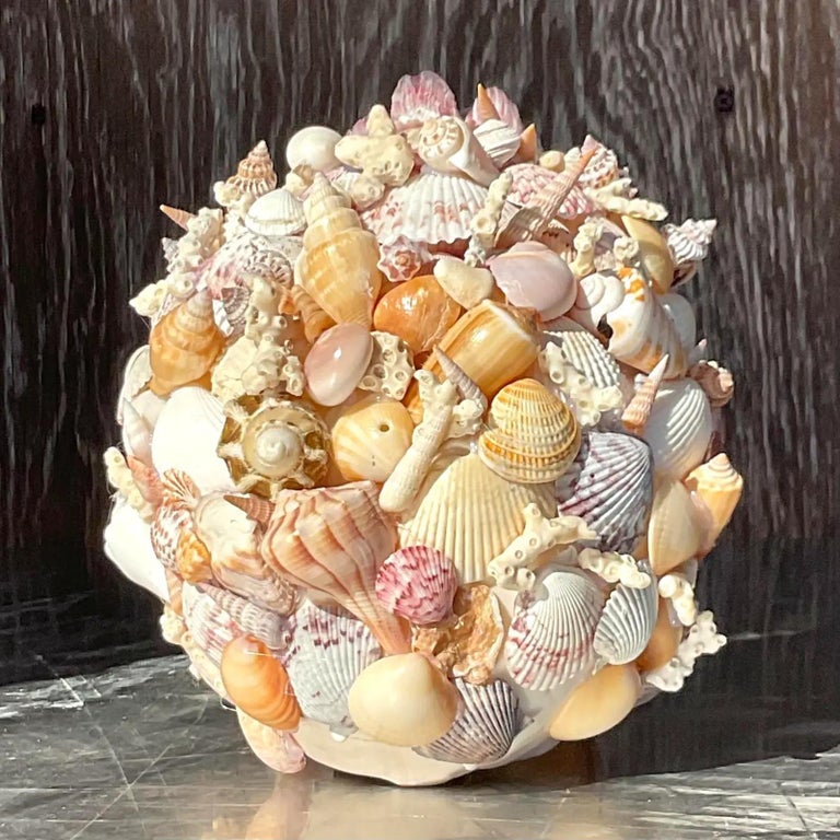 Vintage Coastal Shell Encrusted Skull For Sale at 1stDibs