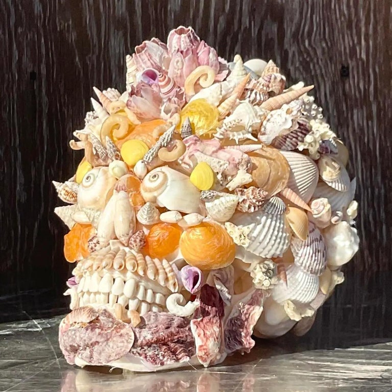 Vintage Coastal Shell Encrusted Skull For Sale at 1stDibs