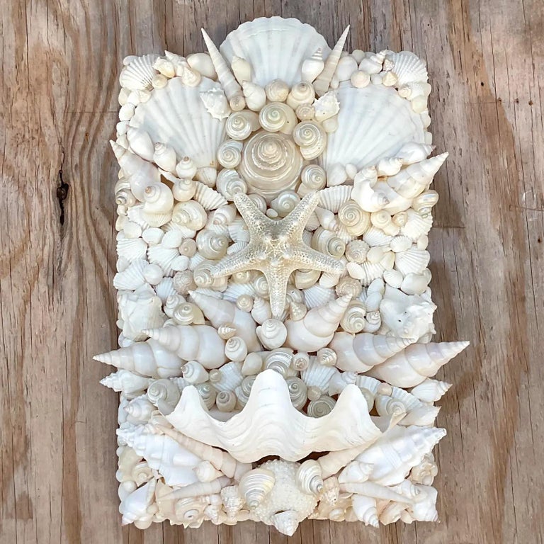 Vintage Coastal Shell Wall Candle Sconce For Sale at 1stDibs