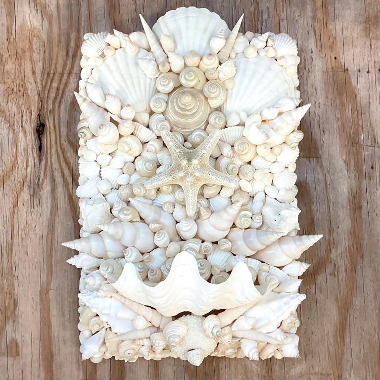 Vintage Coastal Shell Wall Candle Sconce For Sale at 1stDibs