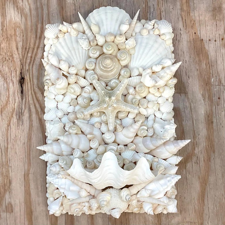 Vintage Coastal Shell Wall Candle Sconce For Sale at 1stDibs