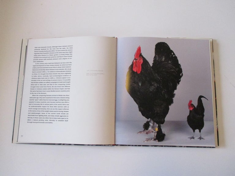 Vintage Coffee Table Extraordinary Chickens Book at 1stDibs