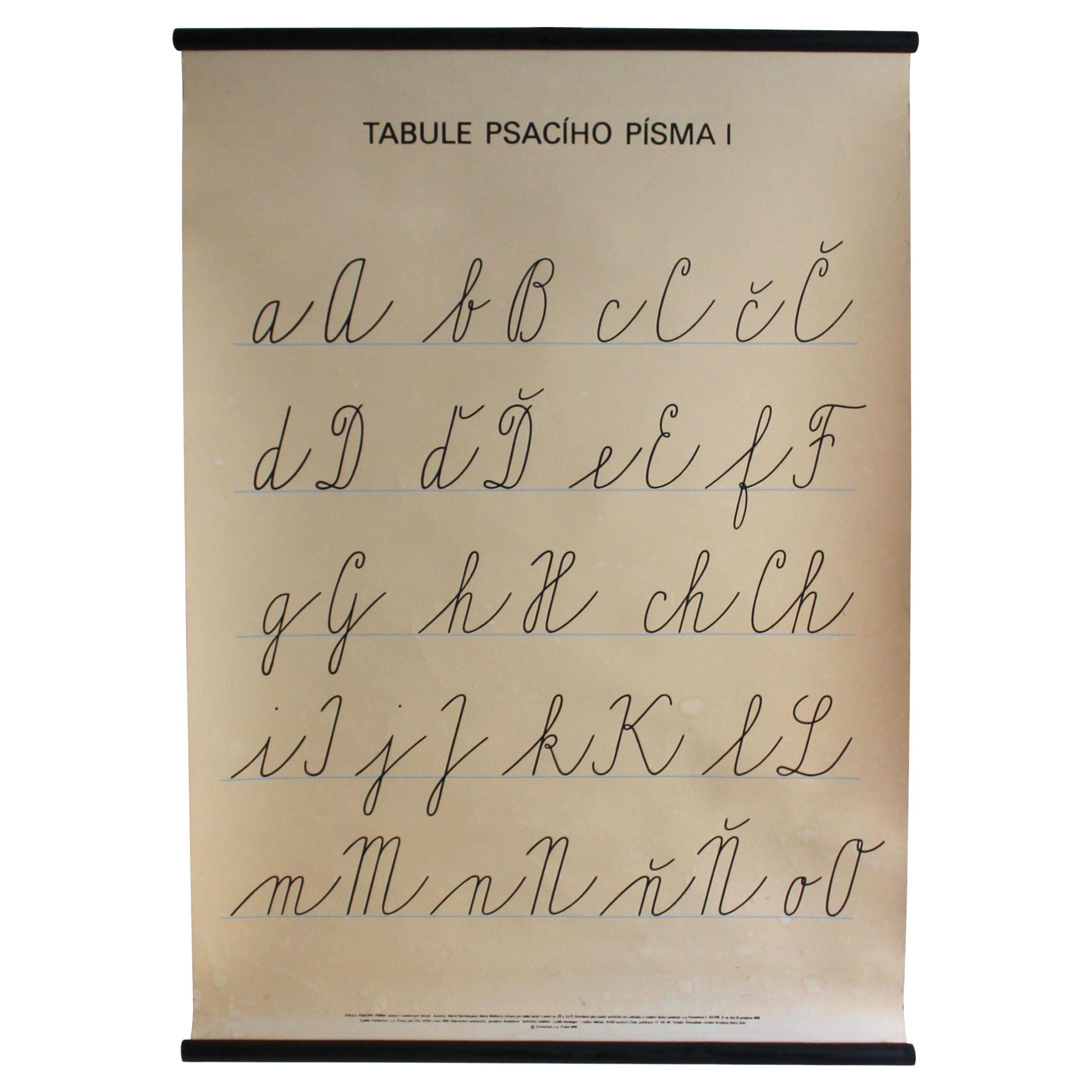 Vintage Czech School Poster For Sale at 1stDibs