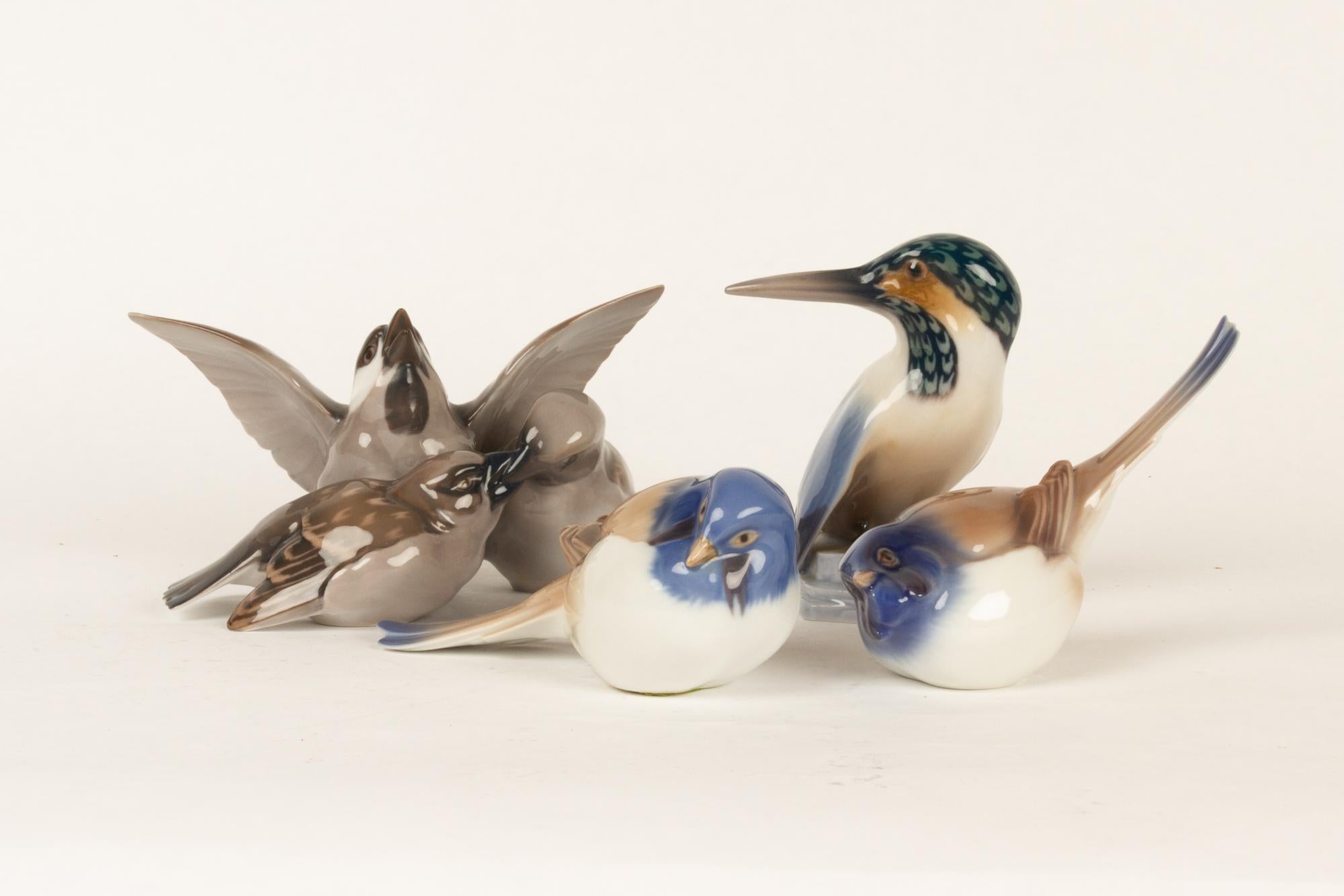 Vintage Danish Porcelain Bird Figurines by Dahl Jensen for B&G, 1960s ...