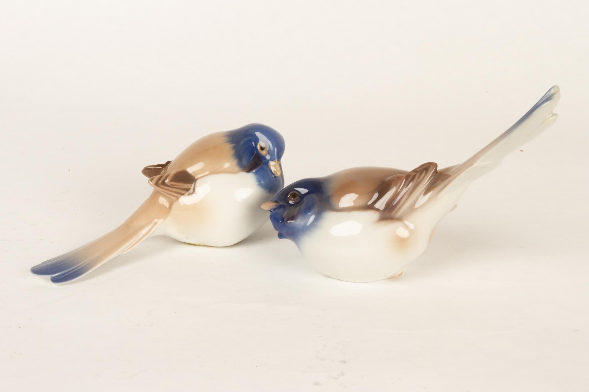 Vintage Danish Porcelain Bird Figurines by Dahl Jensen for B&G, 1960s ...