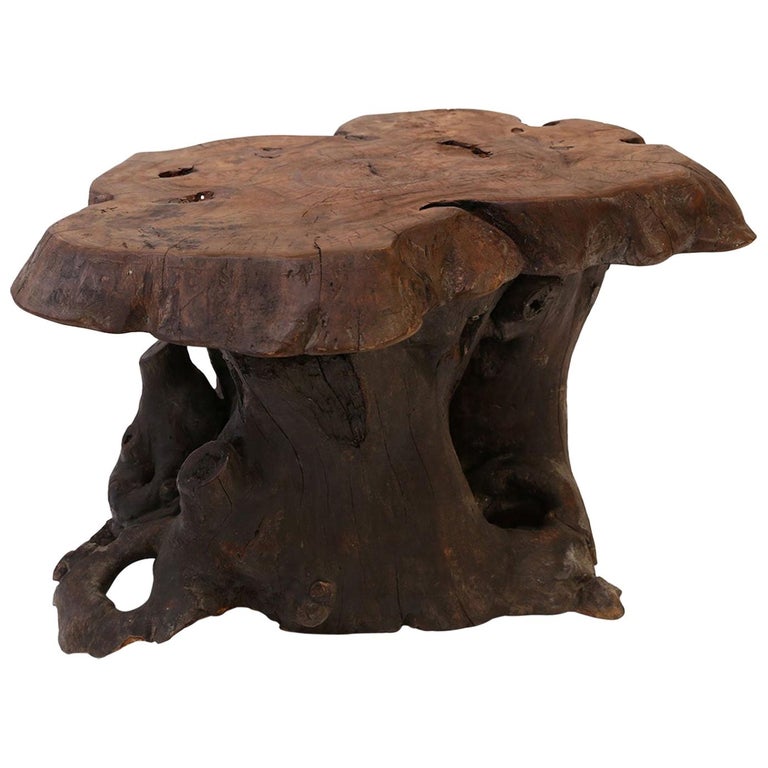 Vintage Dark Brown Tree Trunk Coffee Table at 1stDibs