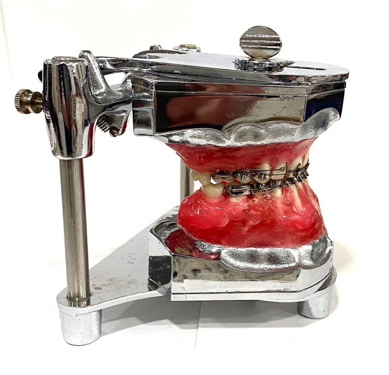 Vintage Dental Model of Mouth with Braces in Original Box by Columbia ...