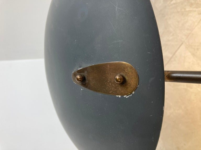 Vintage Desk Lamp by Louis Kalff, 1950s For Sale at 1stDibs