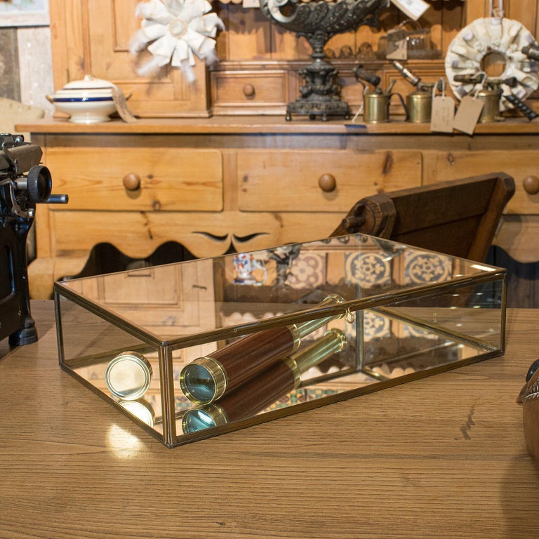 Vintage Display Box, English, Brass, Glass, Collectible Showcase, circa ...